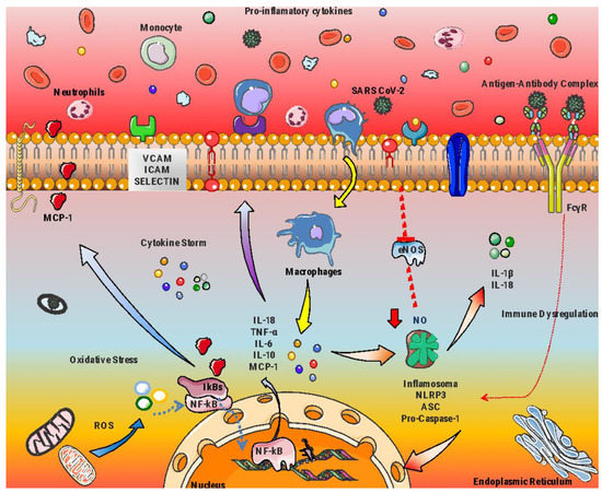 Nutraceuticals for Complementary Treatment of Multisystem Inflammatory ...