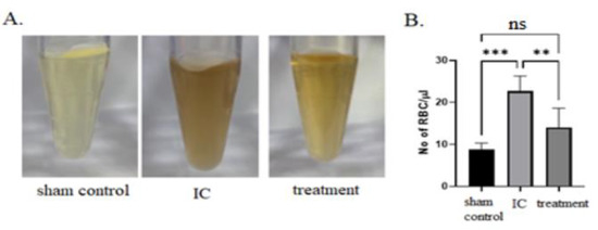 Dehydrated Human Amnion-Chorion Membrane Extracts Can Ameliorate ...
