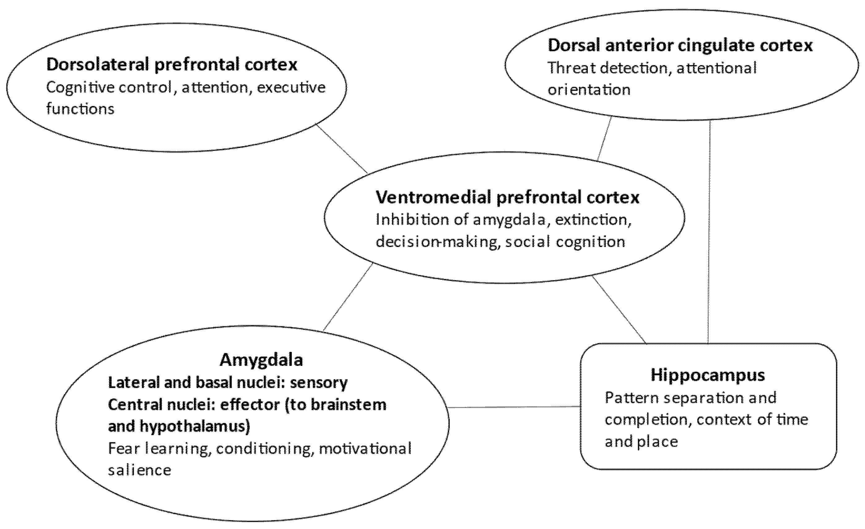 Trauma and Remembering: From Neuronal Circuits to Molecules