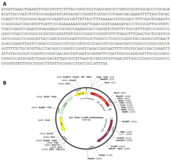 Candidate Multi-Epitope Vaccine against Corona B.1.617 Lineage: In ...