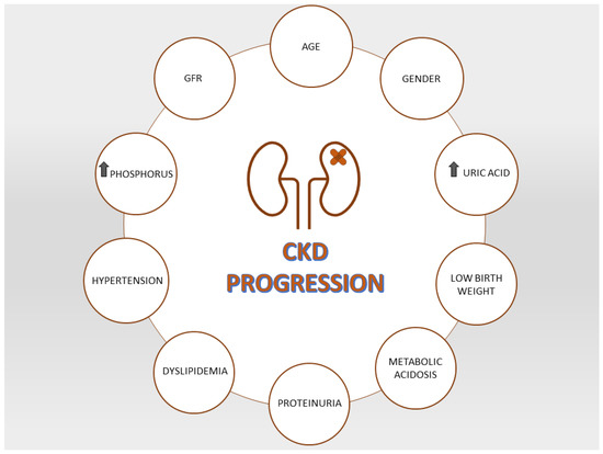 Rethinking Chronic Kidney Disease in the Aging Population