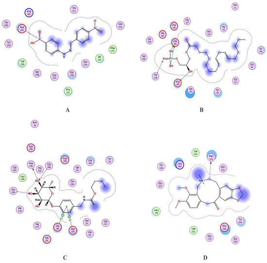 Inferring Therapeutic Targets in Candida albicans and Possible ...