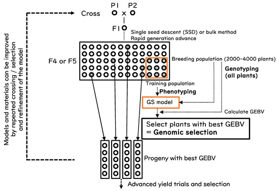 Utilization of Genotyping-by-Sequencing (GBS) for Rice Pre-Breeding and Improvement: A Review