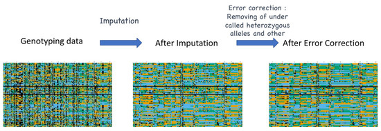 Utilization of Genotyping-by-Sequencing (GBS) for Rice Pre-Breeding and Improvement: A Review