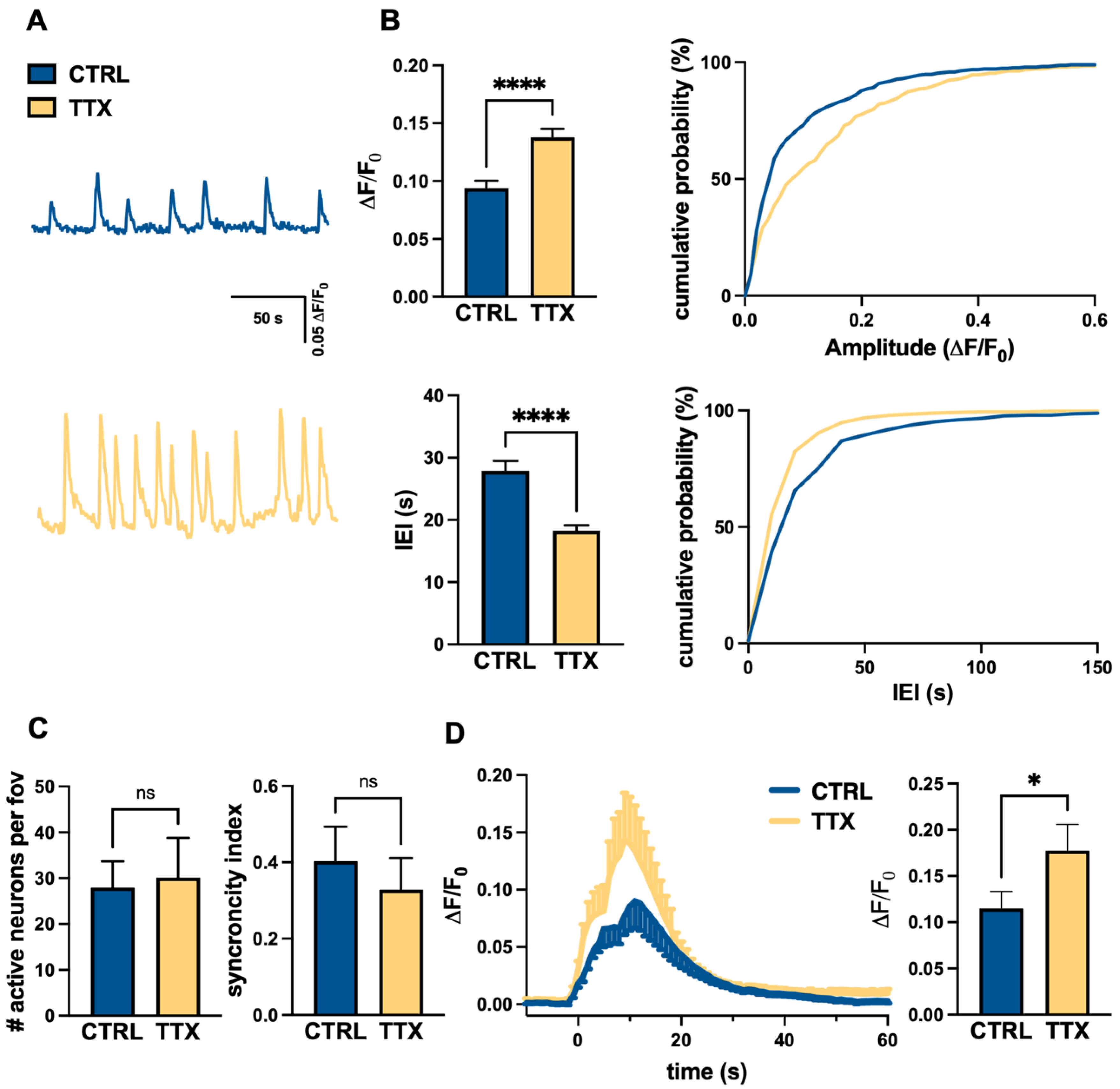 Human iPSC-Derived Cortical Neurons Display Homeostatic Plasticity