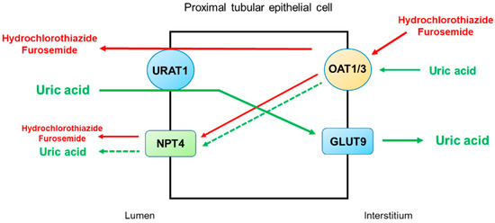 Altered Serum Uric Acid Levels in Kidney Disorders