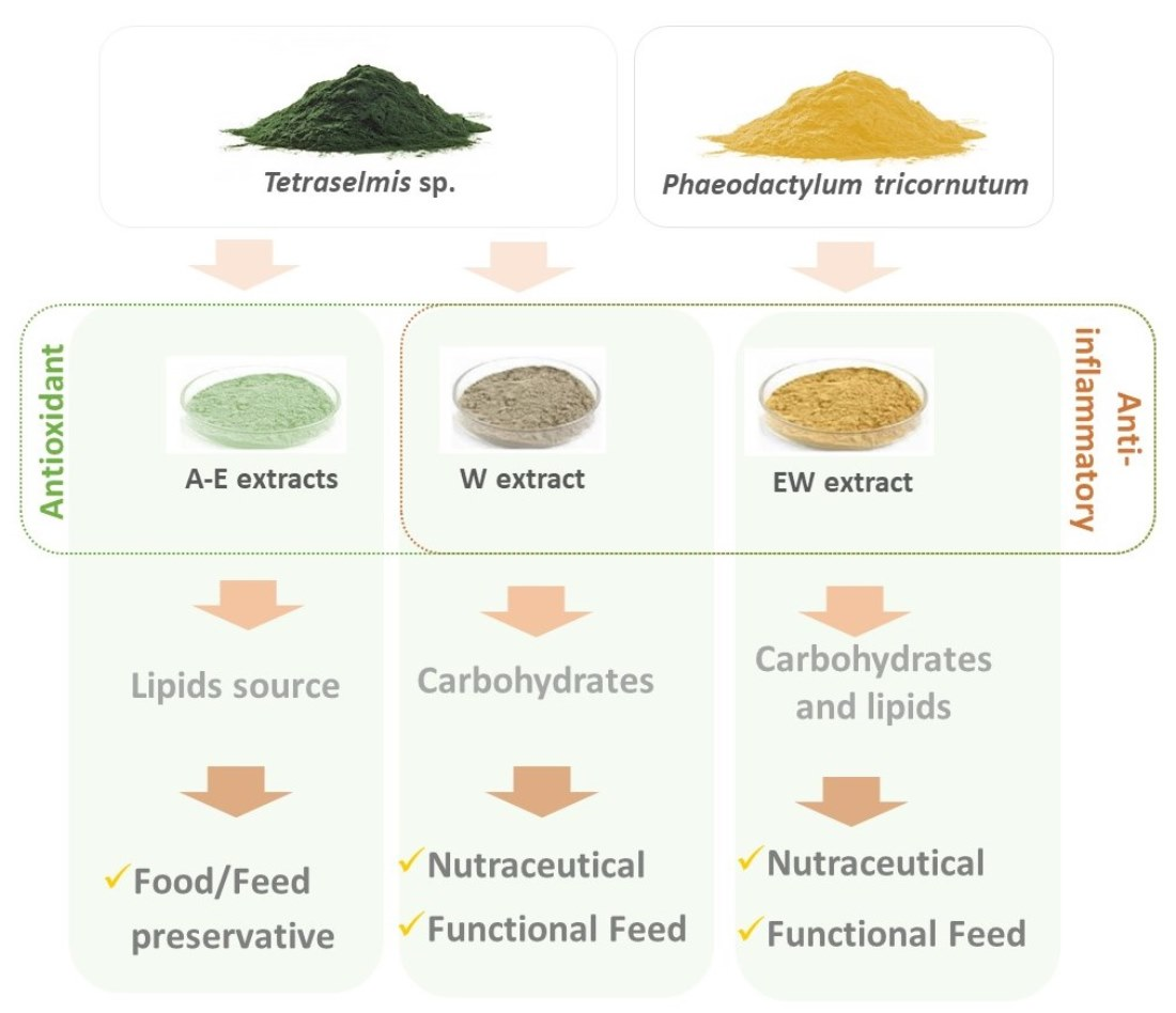 Life | Free Full-Text | Potential of Microalgae Extracts for Food and Feed Supplementation—A ...