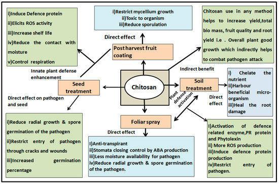 Chitosan: An Autocidal Molecule of Plant Pathogenic Fungus