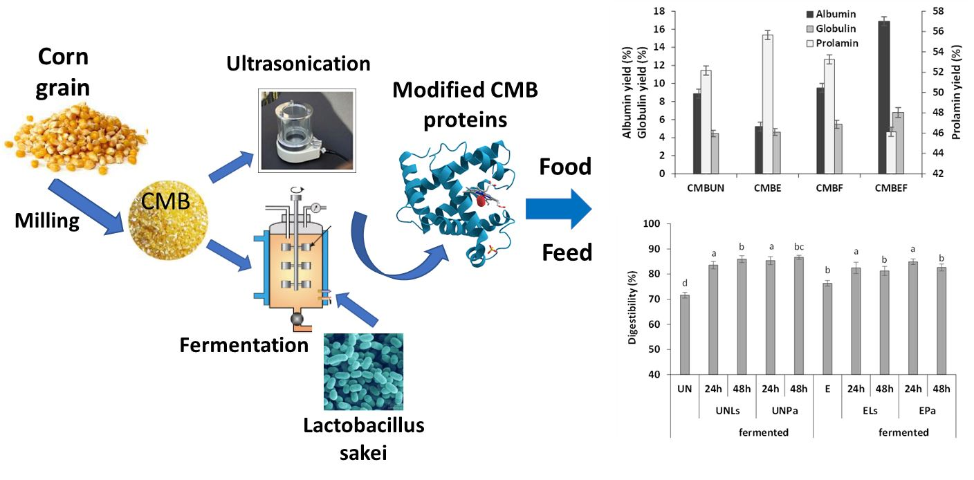 Life | Free Full-Text | Application of Solid-State Fermentation for the ...
