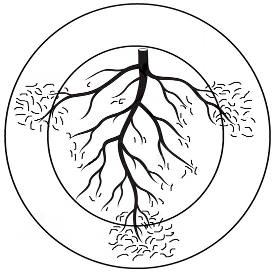 Exploiting Plant–Phytonematode Interactions to Upgrade Safe and ...