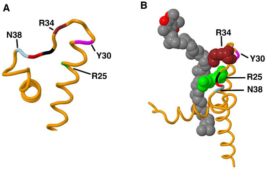 Analysis of Human Clinical Mutations of Mitochondrial ND1 in a ...