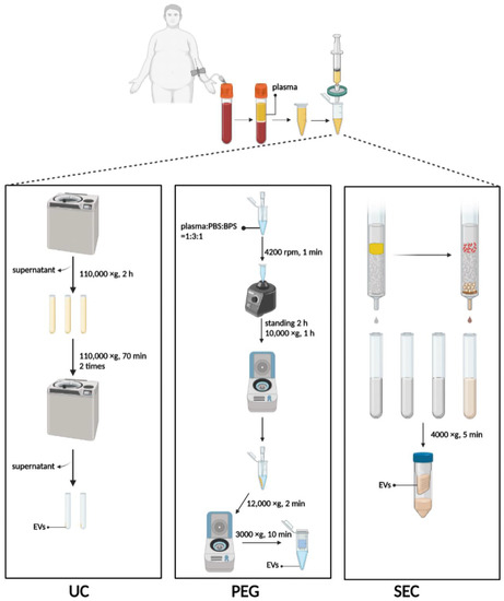 Comparison of Different Isolation Methods for Plasma-Derived Extracellular Vesicles in Patients ...