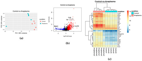 Anaplasma phagocytophilum Transmission Activates Immune Pathways While ...