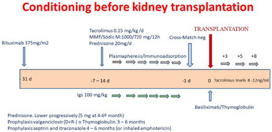 Low Incidence of Acute Antibody-Mediated Rejection after HLA ...