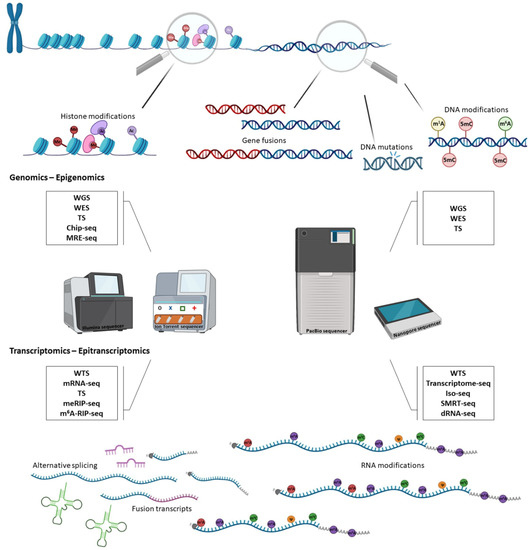 The Transition from Cancer “omics” to “epi-omics” through Next- and ...