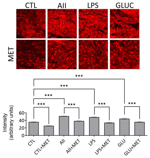 Metformin Acutely Mitigates Oxidative Stress in Human Atrial Tissue: A ...