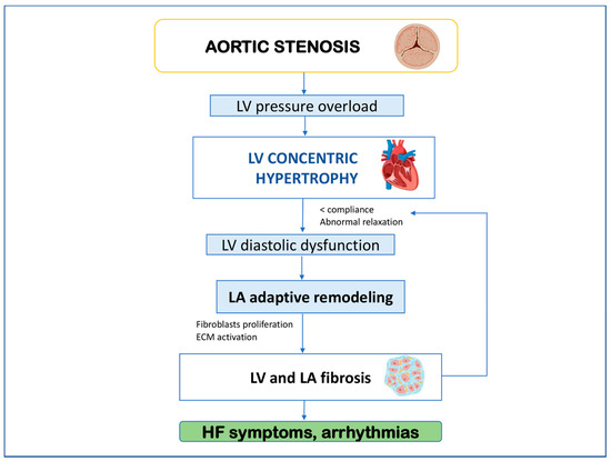 Left Atrial Remodeling in Response to Aortic Valve Replacement: Pathophysiology and Myocardial ...