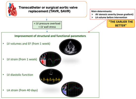 Left Atrial Remodeling in Response to Aortic Valve Replacement ...