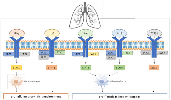 Potential Role of JAK Inhibitors in the Treatment of Systemic Sclerosis-Associated Interstitial ...