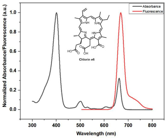 Effect of Photodynamic Therapy with Chlorin e6 on Canine Tumors