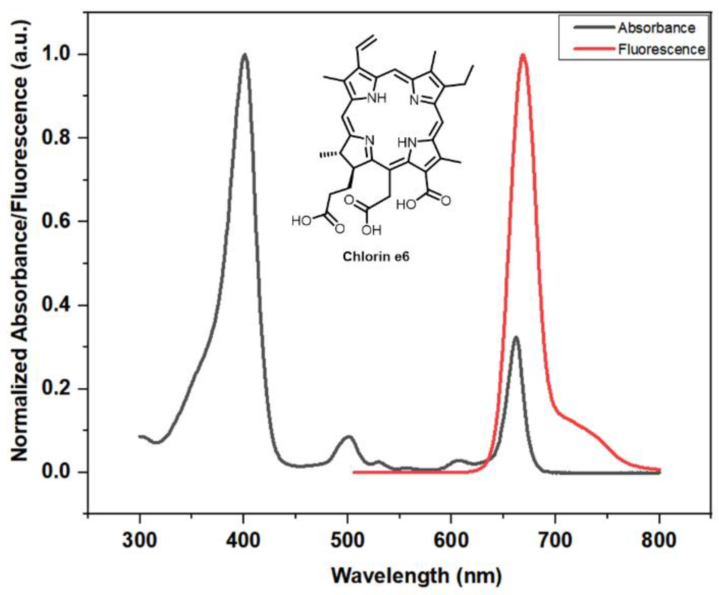 Effect of Photodynamic Therapy with Chlorin e6 on Canine Tumors