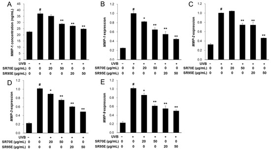 Amentoflavone-Enriched Selaginella rossii Protects against Ultraviolet ...