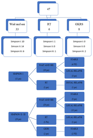 Post Surgical Management of WHO Grade II Meningiomas: Our Experience ...