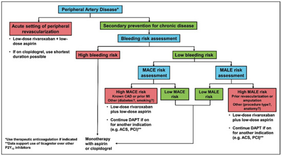 Life | Free Full-Text | Bleeding Risk in Patients with Peripheral ...