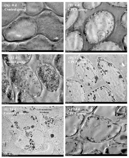 Storage Quality Variation of Mushrooms (Flammulina velutipes) after ...