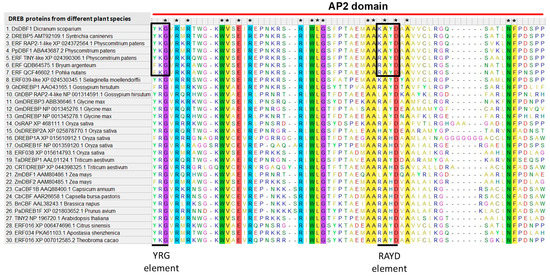 DsDBF1, a Type A-5 DREB Gene, Identified and Characterized in the Moss ...