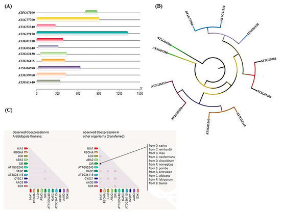 Free Radicals Mediated Redox Signaling in Plant Stress Tolerance