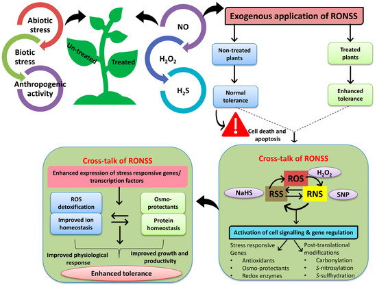 Free Radicals Mediated Redox Signaling in Plant Stress Tolerance