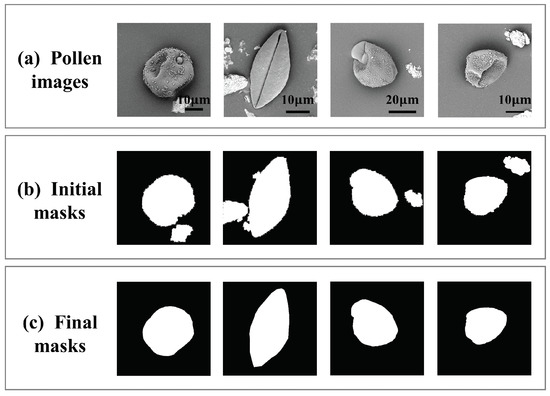 Weakly Supervised Collaborative Learning for Airborne Pollen Segmentation and Classification ...