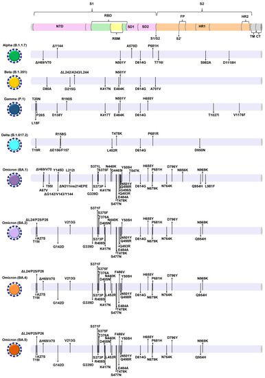 Life | Free Full-Text | Detection of Circulating SARS-CoV-2 Variants of Concern (VOCs) Using a ...