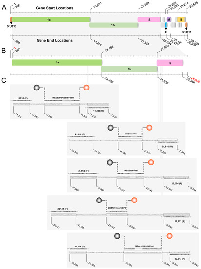 Life | Free Full-Text | Detection of Circulating SARS-CoV-2 Variants of Concern (VOCs) Using a ...