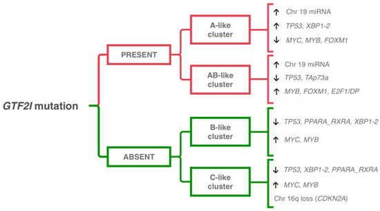 Thymic Epithelial Tumors: An Evolving Field
