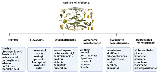 The Therapeutic Wound Healing Bioactivities of Various Medicinal Plants
