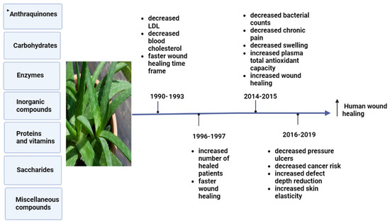 The Therapeutic Wound Healing Bioactivities of Various Medicinal Plants