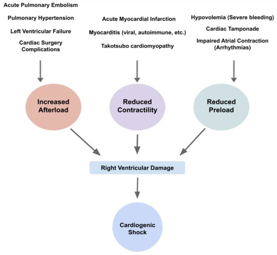 Keep the Right in Mind—A Focused Approach to Right Ventricle ...