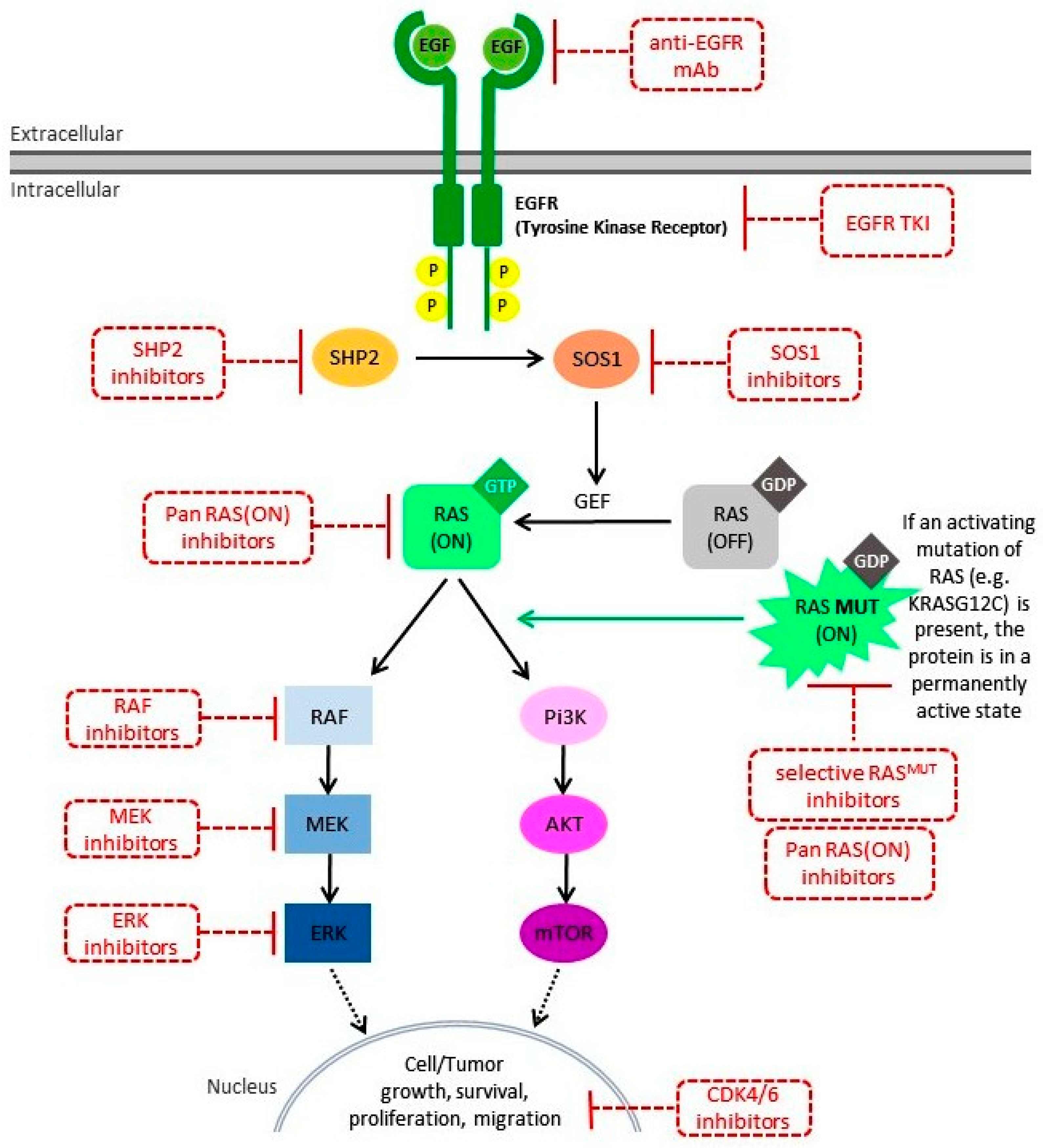 Integrated Decision-Making in the Treatment of Colon-Rectal Cancer: The ...