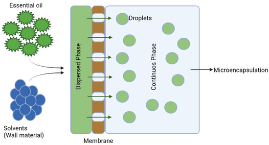 Life | Free Full-Text | Effects of Microencapsulated Essential Oils on ...