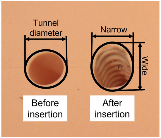 In Vitro Investigation of the Fixation Performance of a Bioabsorbable ...