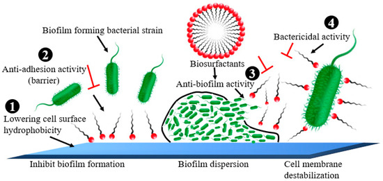 Beyond the Risk of Biofilms: An Up-and-Coming Battleground of Bacterial Life and Potential ...