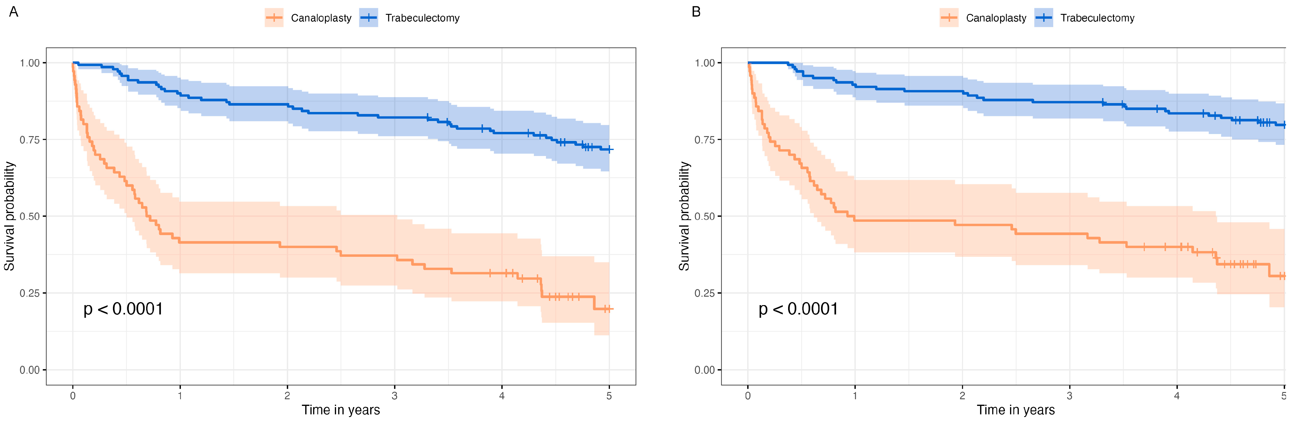 Trabeculectomy Diagram
