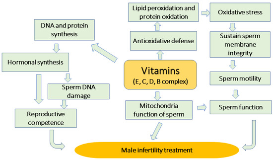 The Role of Dietary Nutrients in Male Infertility: A Review