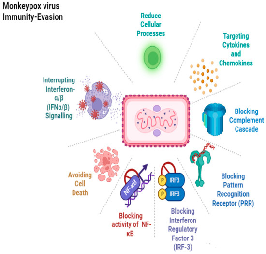 Clinical Manifestation, Transmission, Pathogenesis, and Diagnosis of Monkeypox Virus: A ...