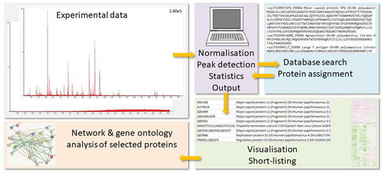 Mass Spectrometry-Based Proteomics of Minor Species in the Bulk ...