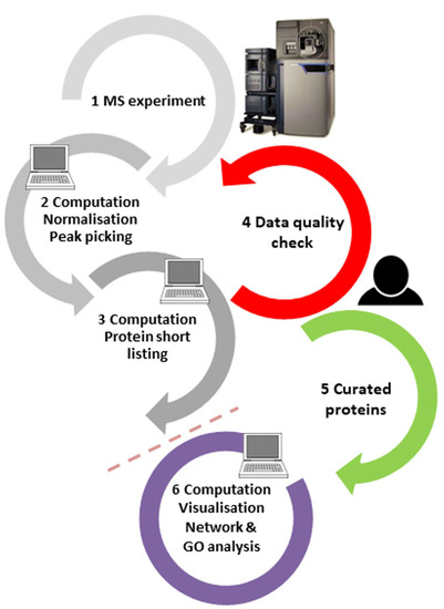 Mass Spectrometry-Based Proteomics of Minor Species in the Bulk ...
