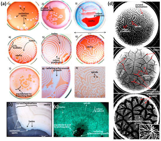 Self-Similar Patterns from Abiotic Decarboxylation Metabolism through ...