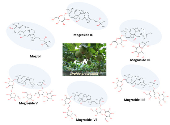 Pharmacological Activities of Mogrol: Potential Phytochemical against ...